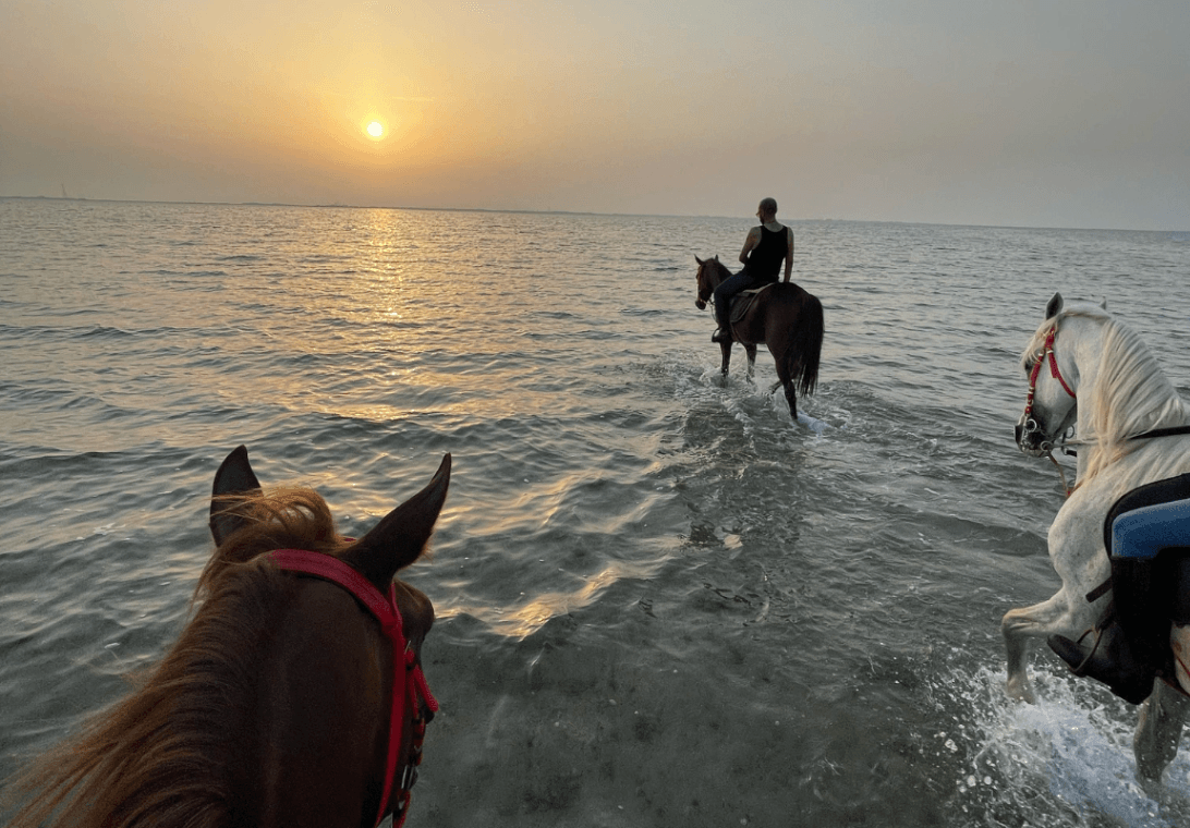 Horse Riding in Jeddah | Hala Yalla