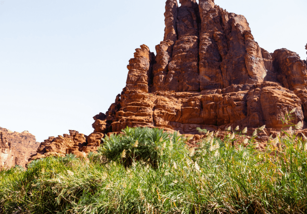Wadi Disah Adventure: Explore Stunning Desert Landscapes in Tabuk ...